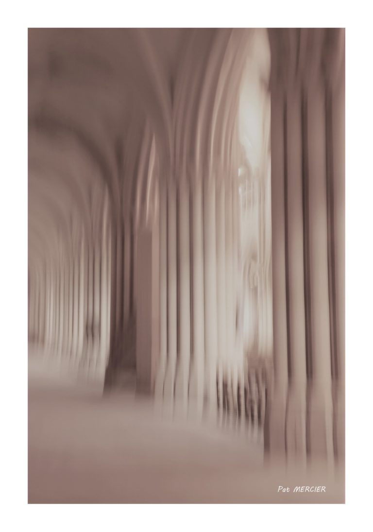 Galerie de Patricia Mercier - Romo Photo Club