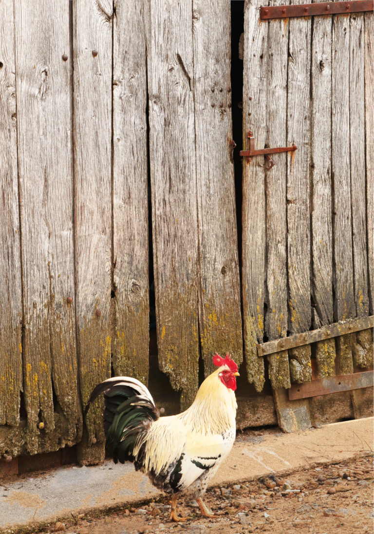 Galerie de Claudine Blanchard - Romo Photo Club